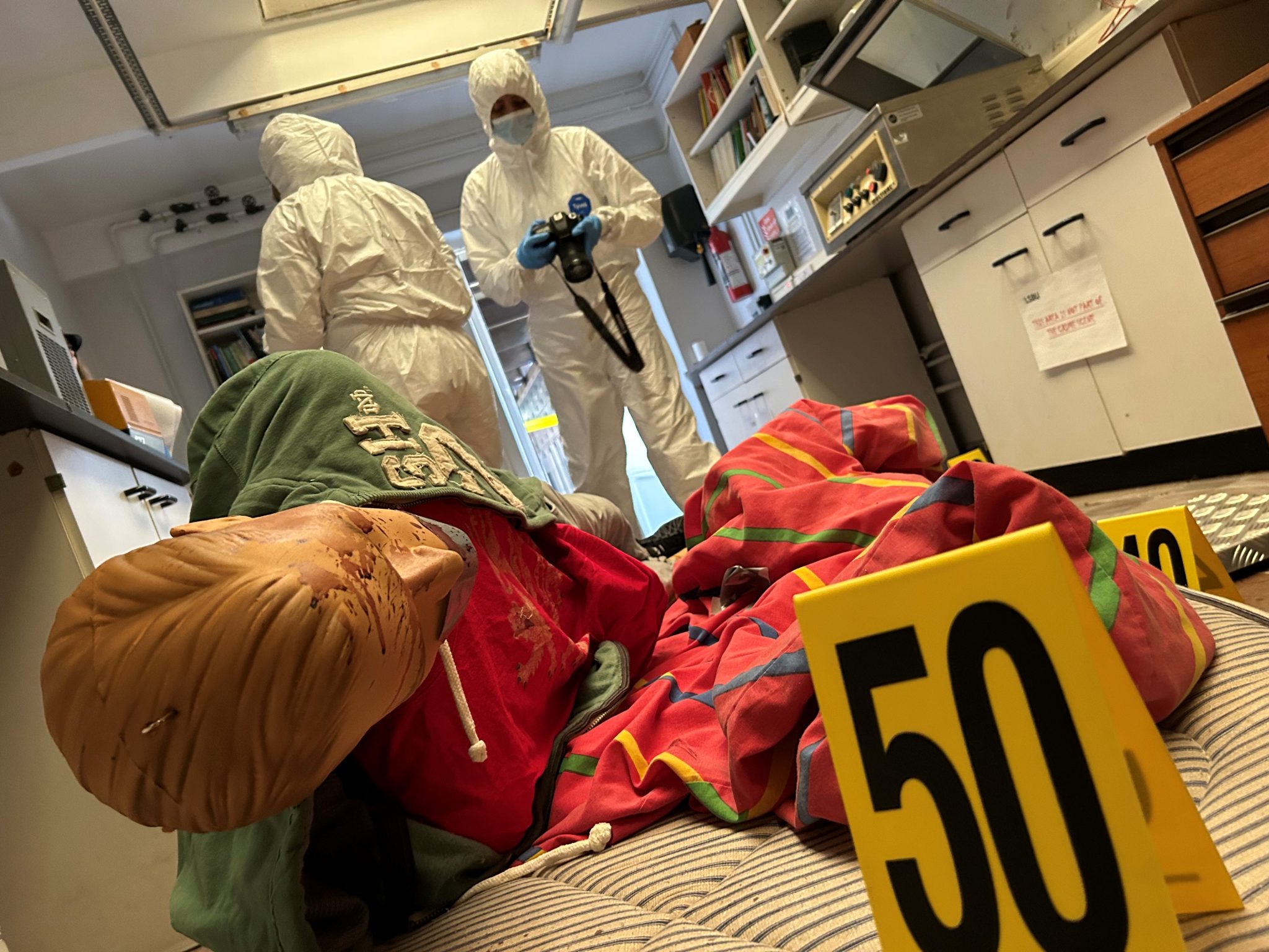 IST Image Competition 2023 – Winners Announced! – IST – Institute of ...